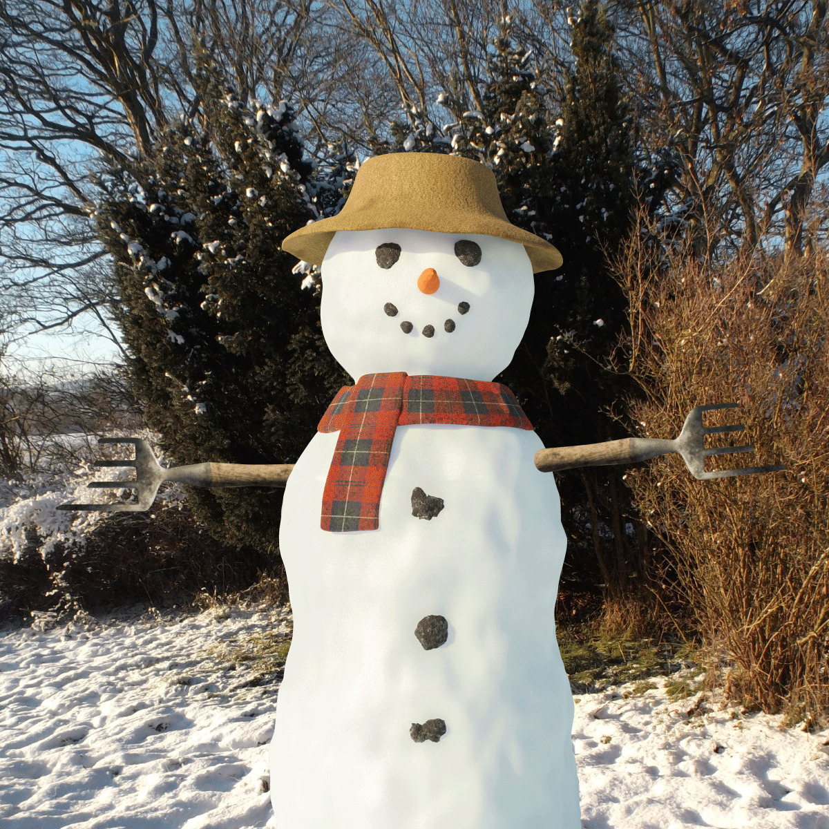 Something for the weekend - Part 178 - Let it snow... - Adobe Product ...