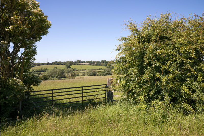 Something for the weekend - Part 78 - The gate. - Page 2 - Adobe ...